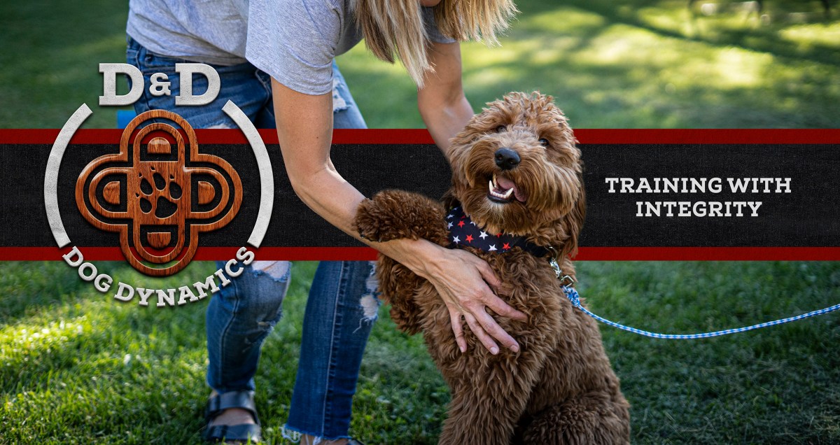 D&D Dog Dynamics – Training with Integrity