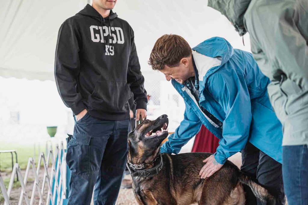 UP Pet Festival – D&D Dog Dynamics